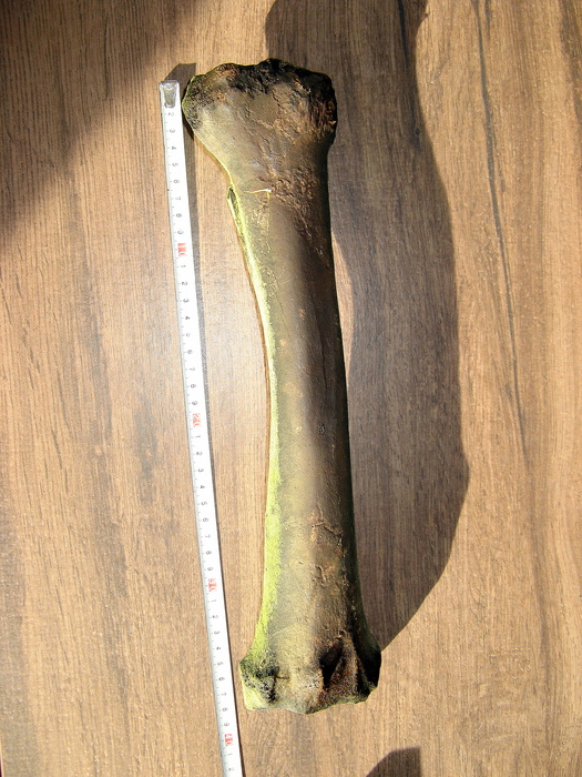 Is dit bot afkomstig van een mens? - Ik heb een vraag (2025)